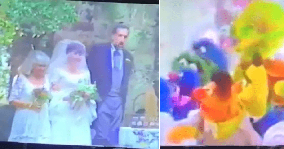Videographer Goes Viral for Adding Muppets Clip into Couple’s Wedding ...