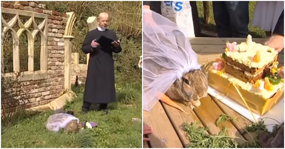 Adorable Video of ‘Legal’ Rabbit Wedding Goes Viral - RachWed